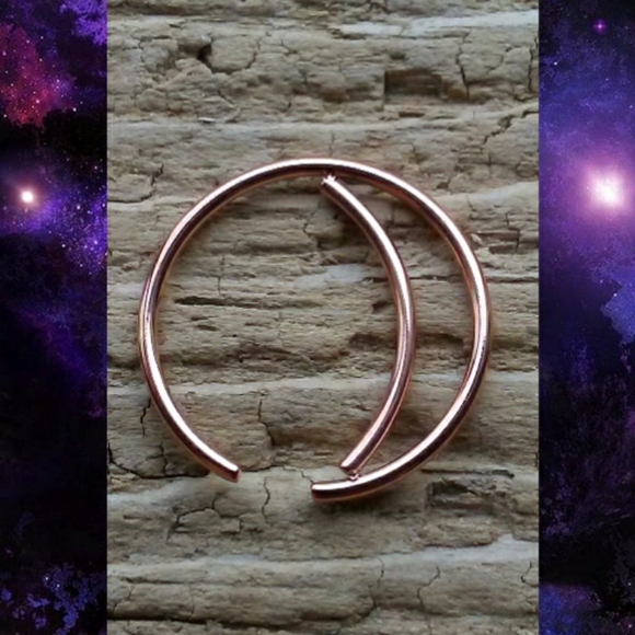 Jewelry | Crescent Moon Stainless Hoop | Poshmark